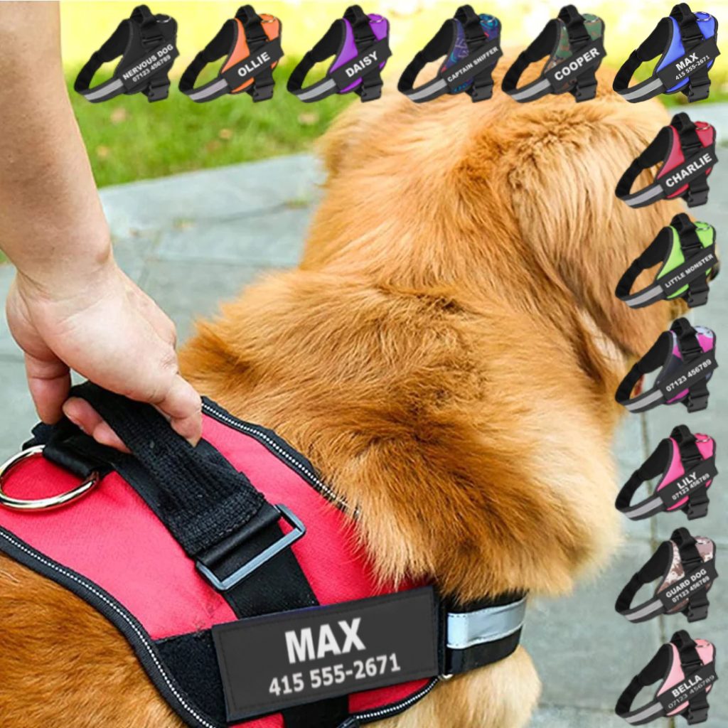 Personalized No Pull Dog Harness | Personalized Breathable Pet Harness ...