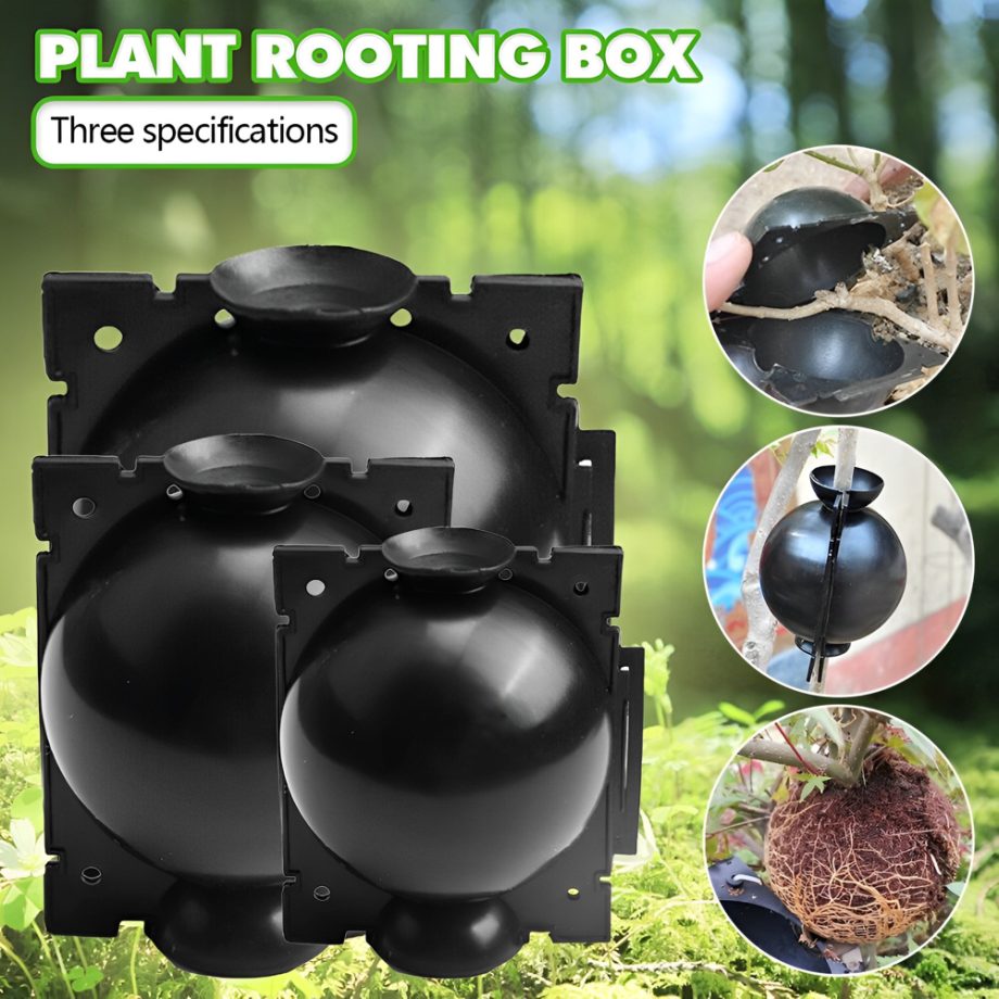 5 Pcs Plant Root Growing Box | Rooting Balls for Plants & Trees ...