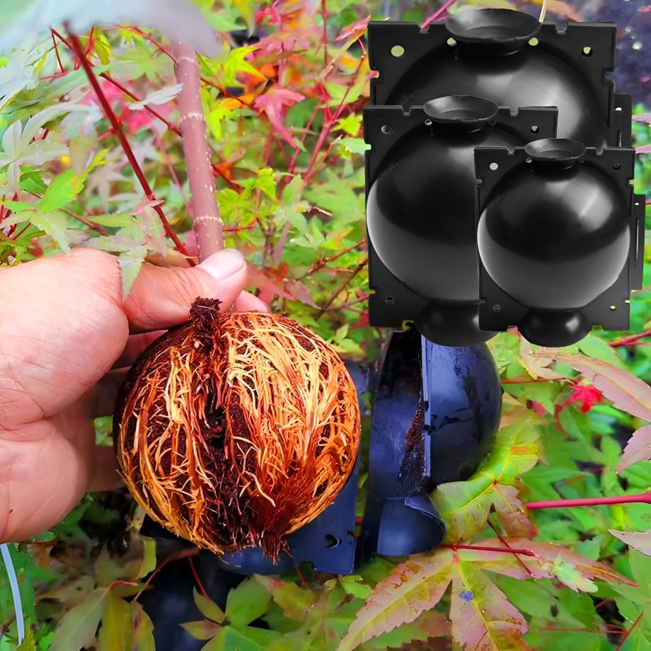 5 Pcs Plant Root Growing Box | Rooting Balls for Plants & Trees ...