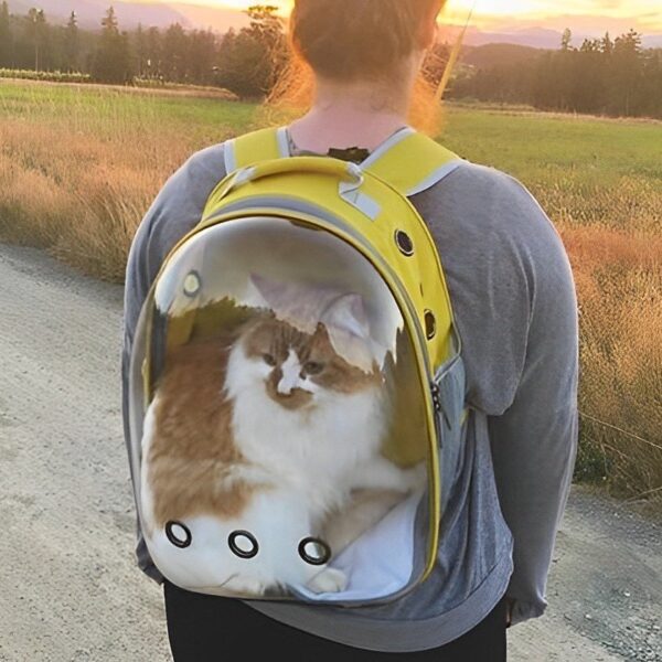 Bubble backpack for cats clear see, through cat carrier backpack