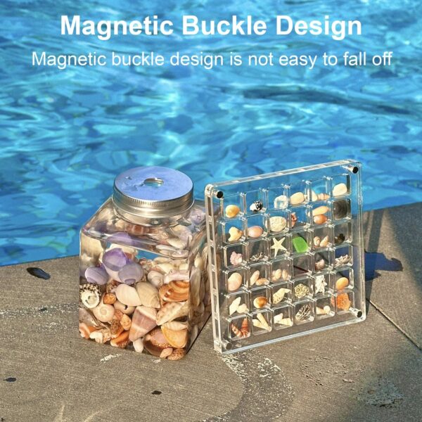 Acrylic Magnetic Seashell Display Box - Usamerica.shop