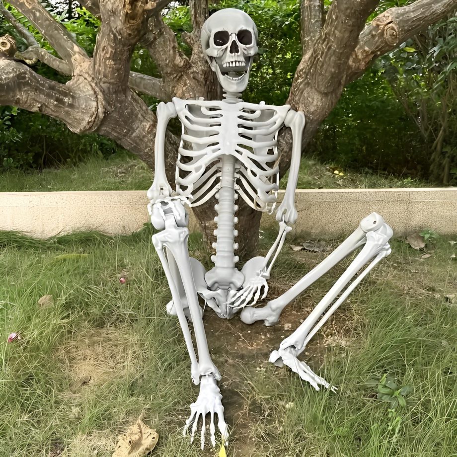 Life Size Halloween Posable Skeleton Decoration - Usamerica.shop